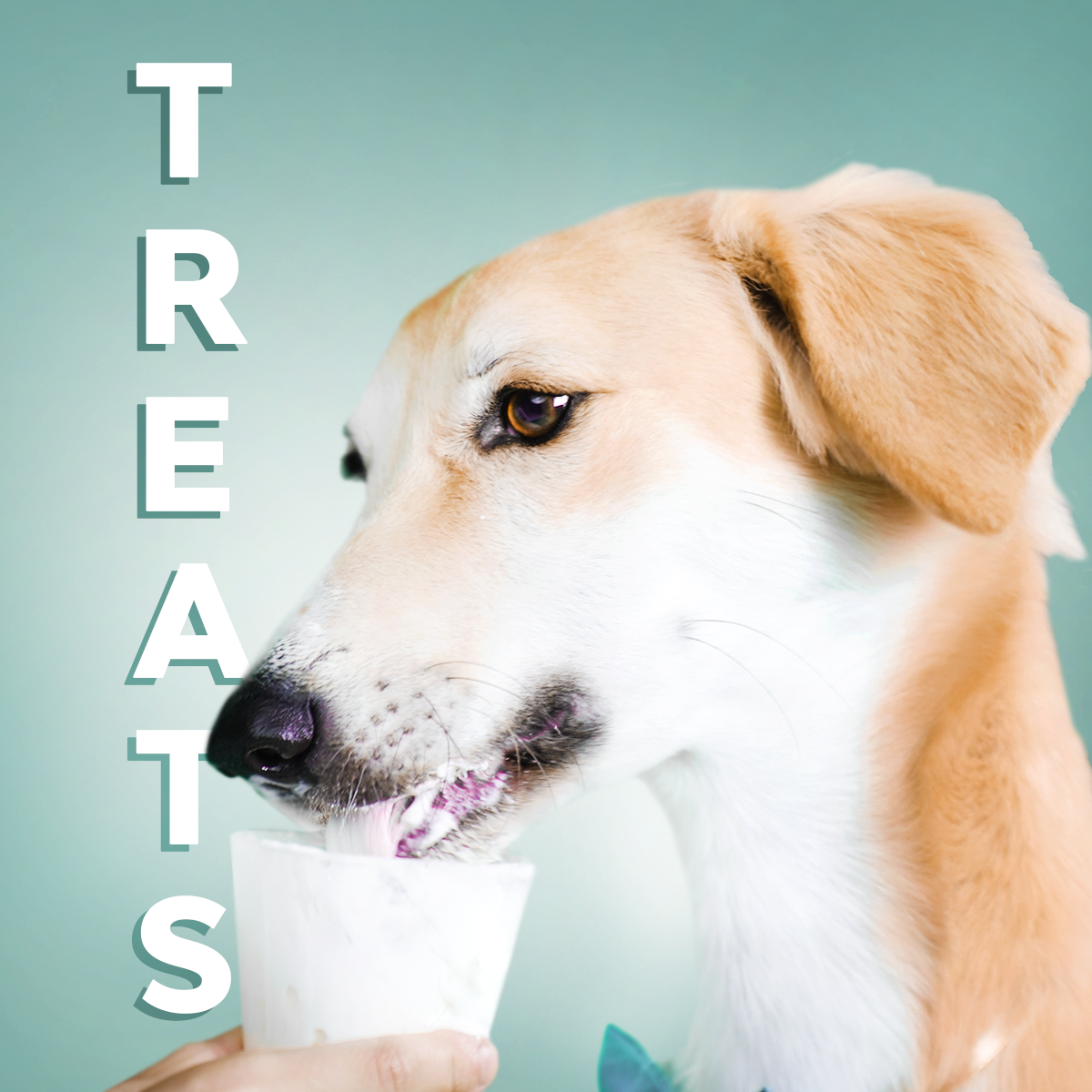 Treats – THE RUFF CLUB