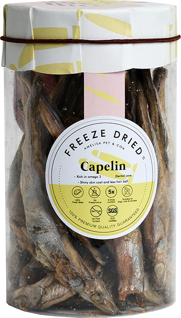 Rawly Bites | Freeze Dried Capelin – THE RUFF CLUB