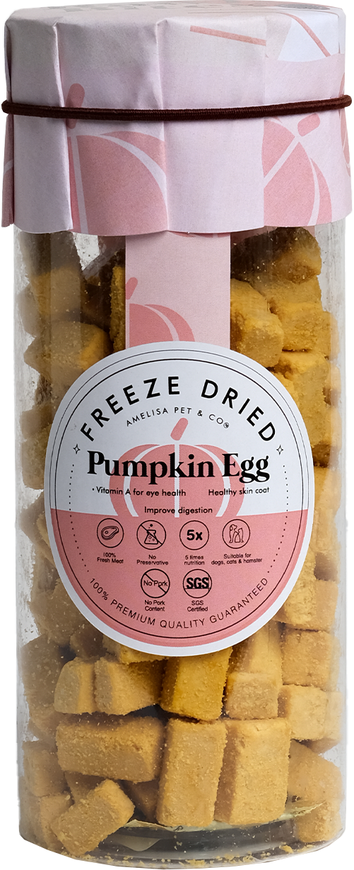 Rawly Bites | Freeze Dried Pumpkin & Egg – THE RUFF CLUB